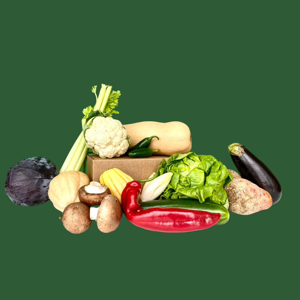 Get Started - Eat Impact